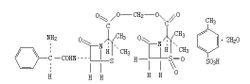 Sultamicilina - Páginas [1] - Conocimiento enciclopédico del Mundo