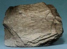 Filita - Páginas [1] - Conocimiento enciclopédico del Mundo